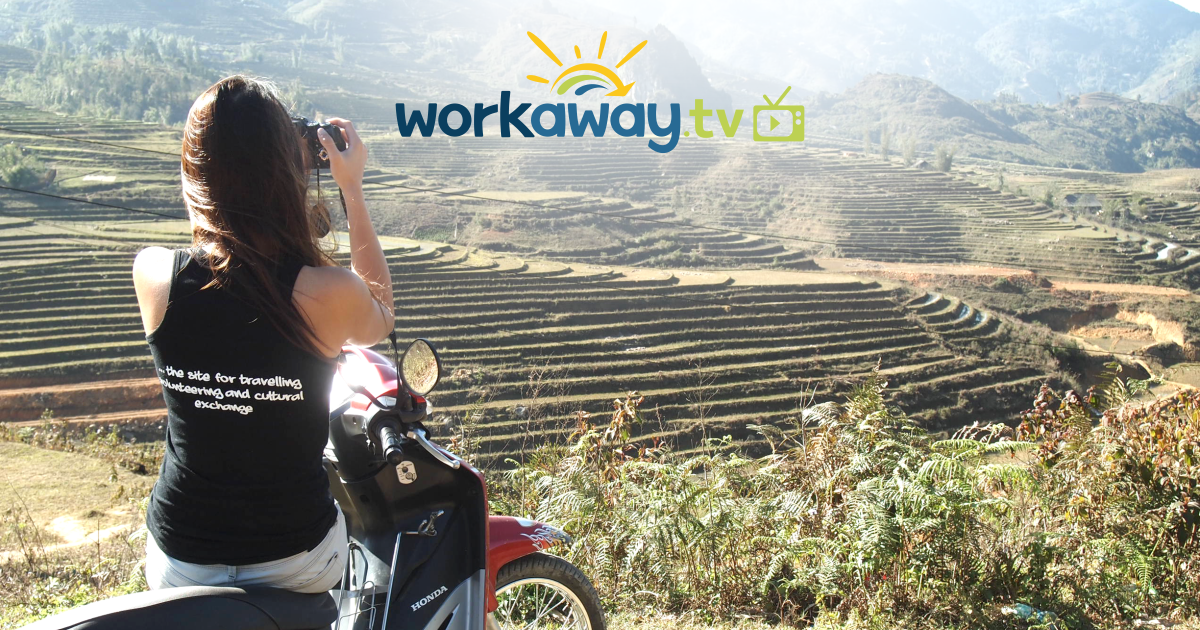 Workaway TV - Watch videos about workaway reviews and experiences